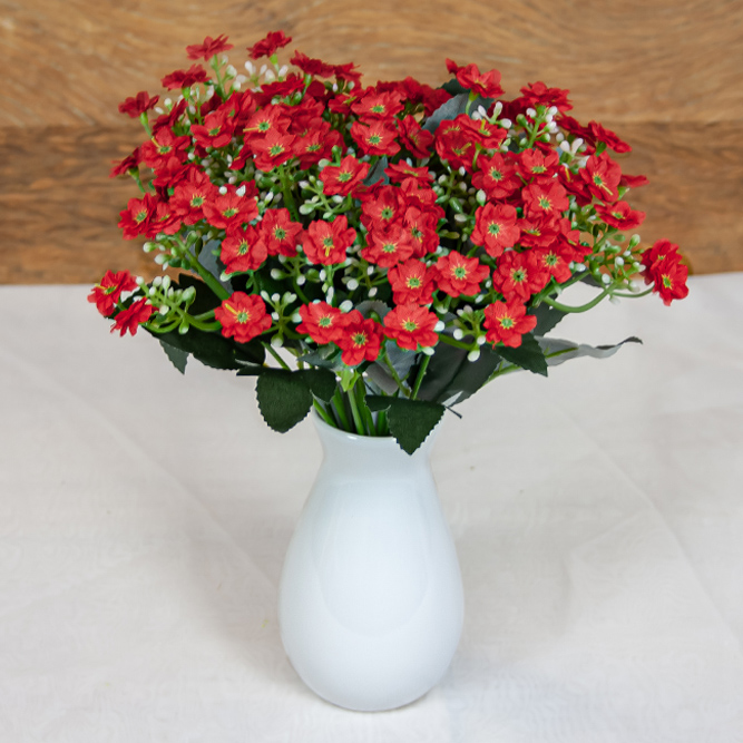 10 plantas com flores para ornamentar a casa